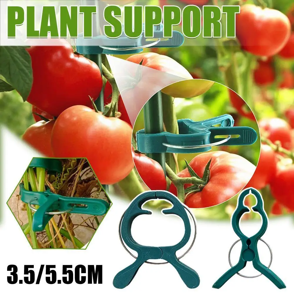 Garden Plant Clamps for Climbing Vine Support Clip Tomato Vegetable ...