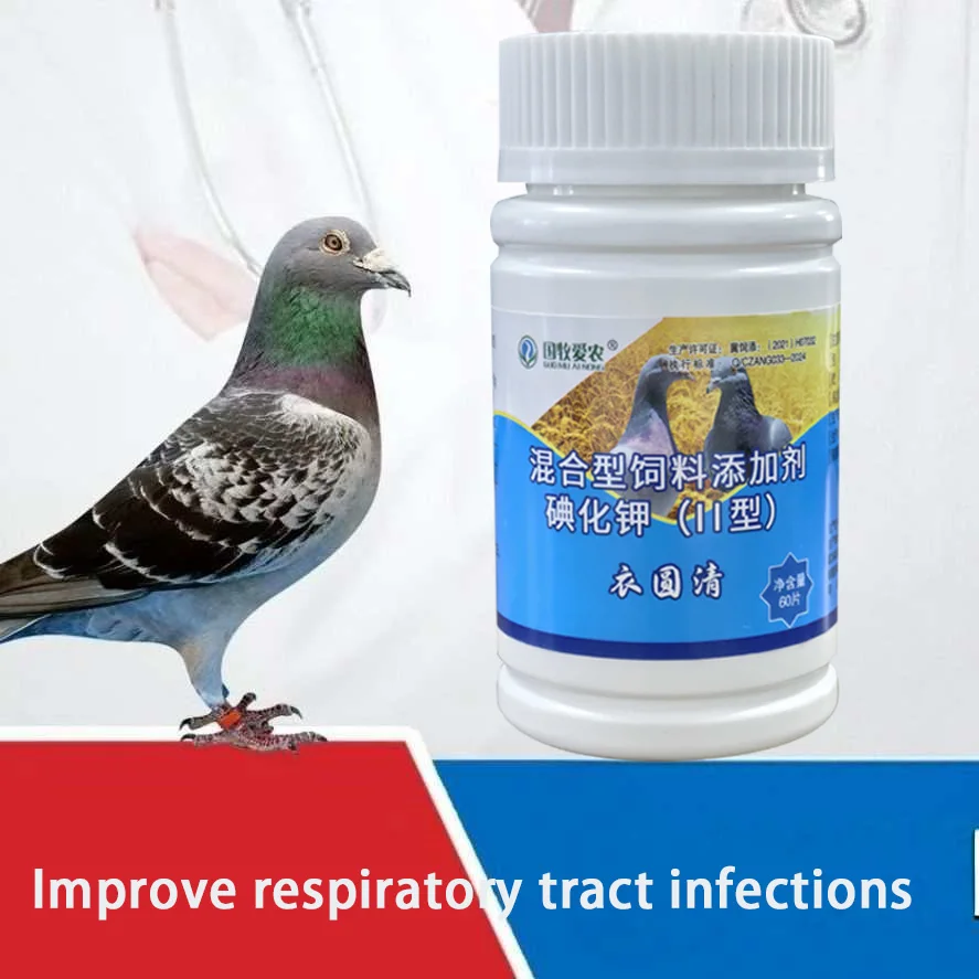 Pigeon Chlamydia Net comprimés 60 comprimés améliorent les problèmes ...