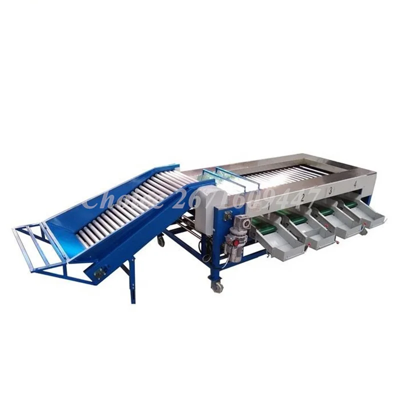 Commercial-Fruits-and-Vegetables-Classifier-Sorter-Machine-Apple-Orange ...