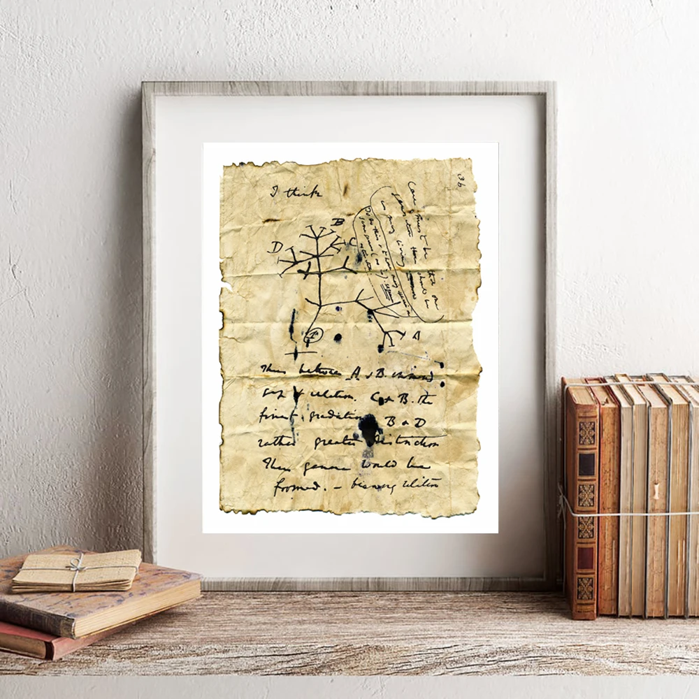 Charles Darwin Tree Of Life