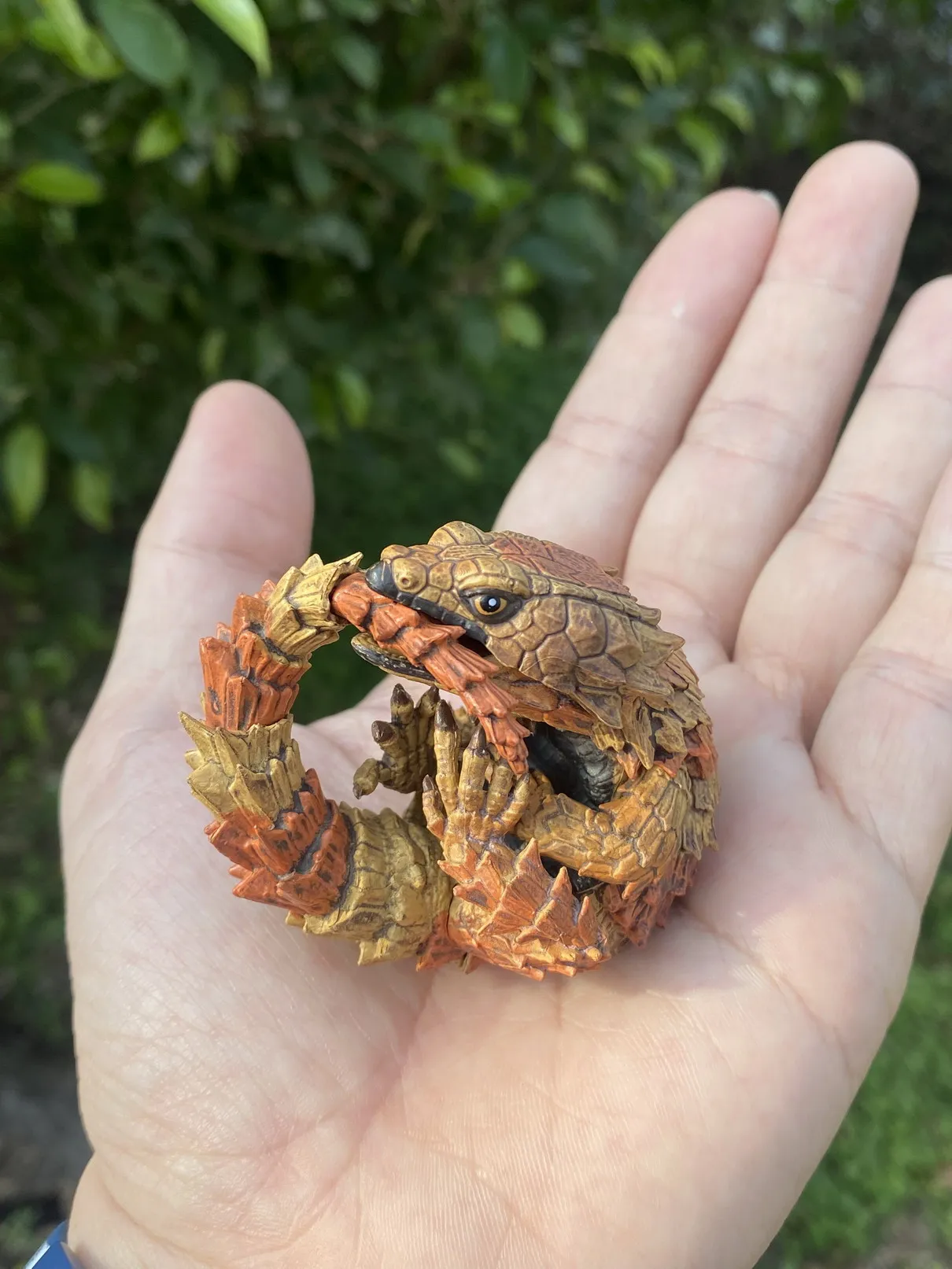 Armadillo Lizard Pet