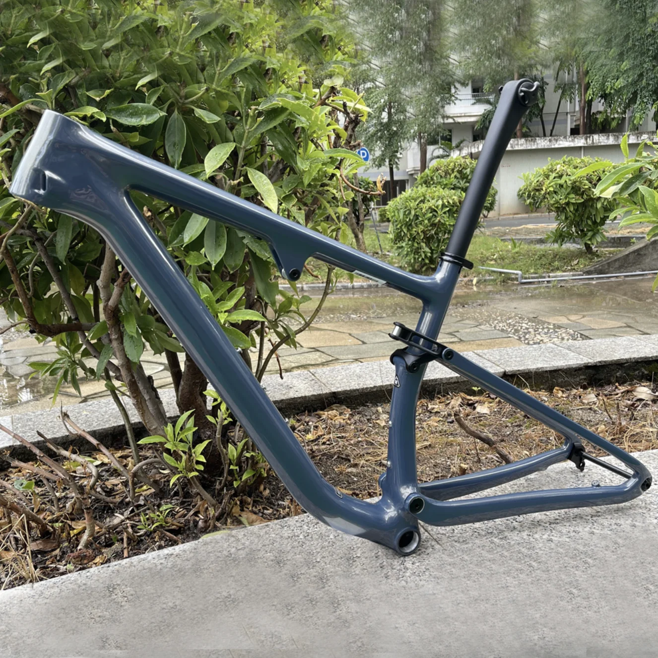 EVO-ESP-Comp-Mountain-Bicycle-Frame-XC-Bike-Frames-Carbon-Mountain-Full ...