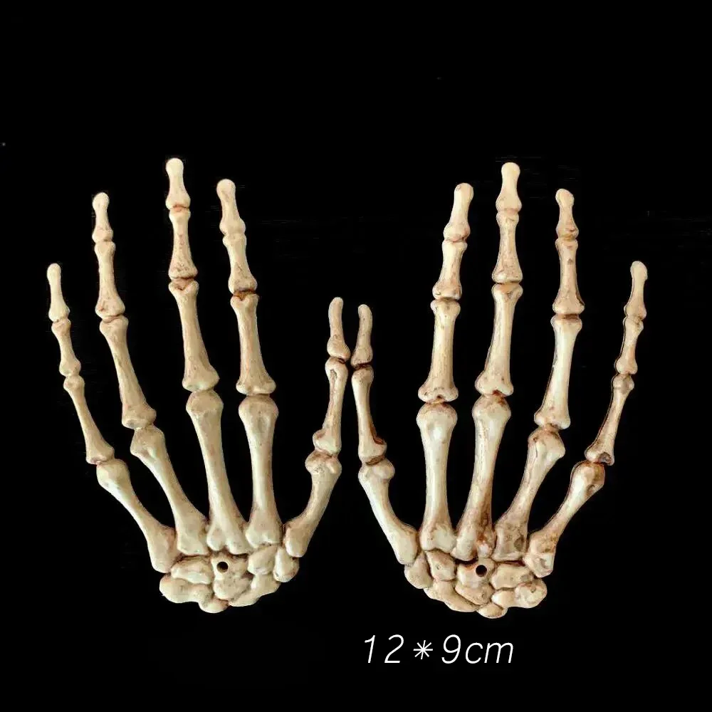 Real Skeleton Hand