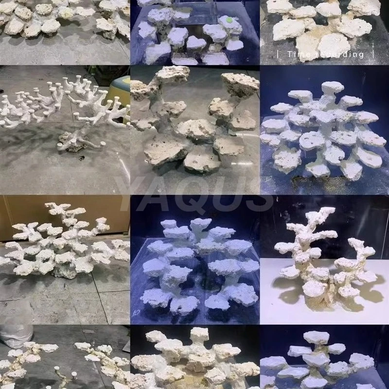 Sea Water Fish Tank Coral Reef Landscape Natural Coral Stone Coral ...