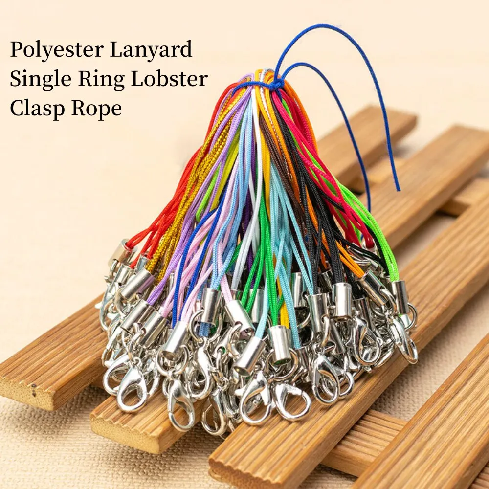 100pcs-Polyester-Lanyard-Single-Ring-Lobster-Clasp-Rope-Keychains-Hooks ...