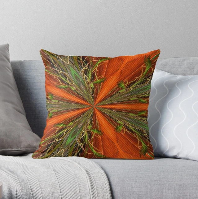 Fancy Cushions Designs