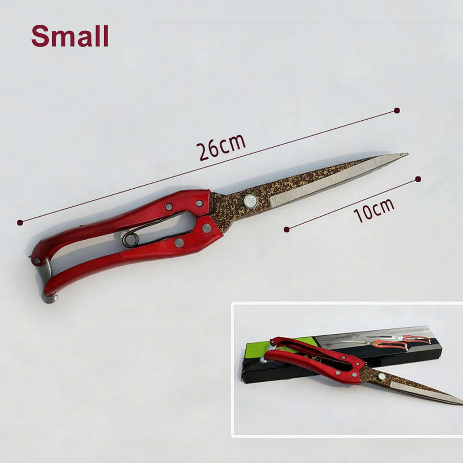 Shearing With Hand Shears Llamas