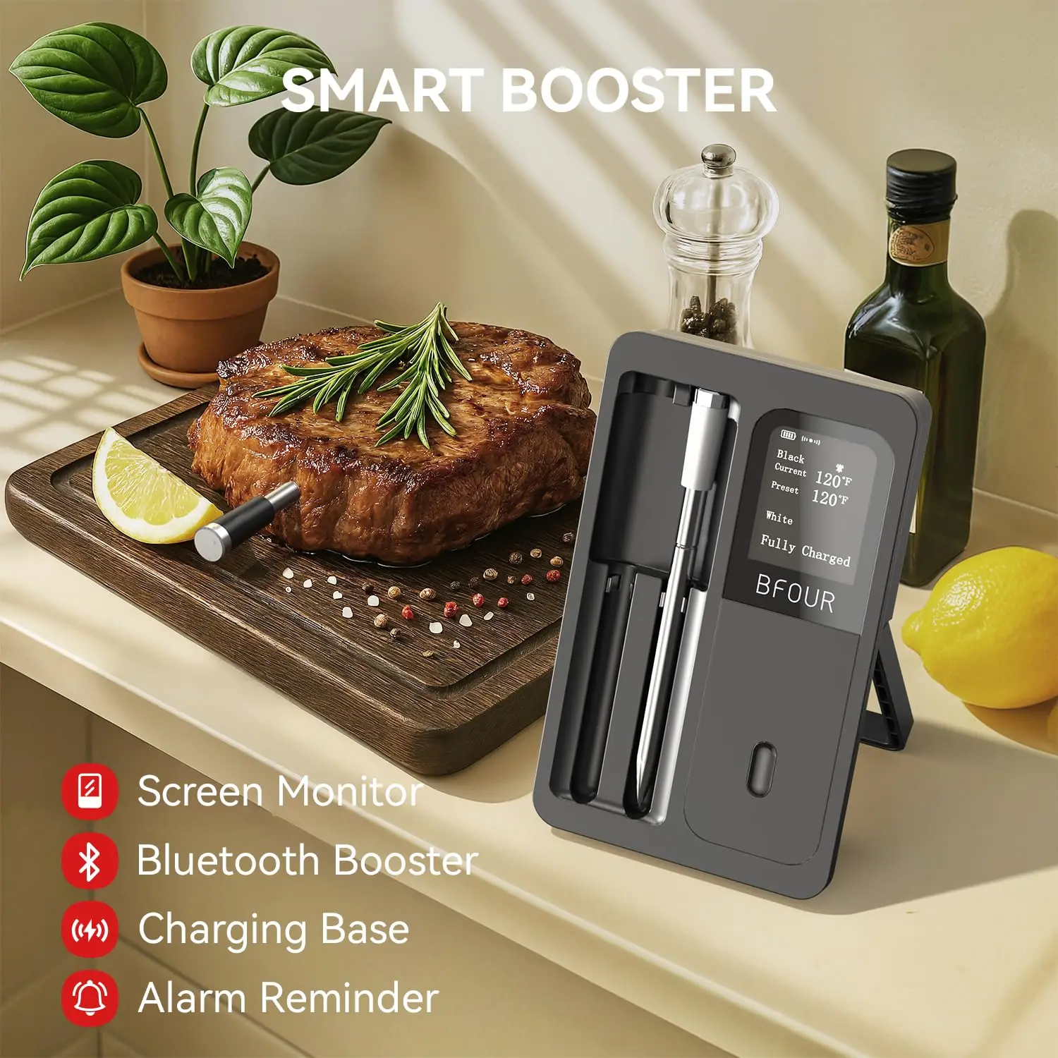 Wireless Meat Thermometer Bluetooth Waterproof Probes Rechargeable with ...