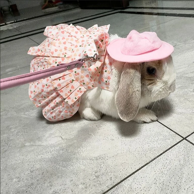 Soft-Cotton-Rabbit-Harness-Dress-and-Leash-Set-for-Rabbits-Bunnies ...