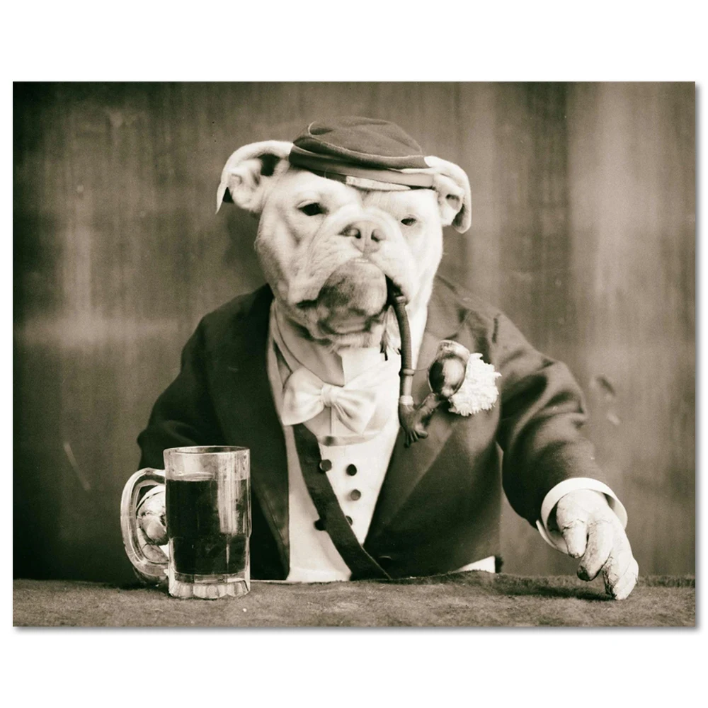 Dogs Drinking Beer Poster