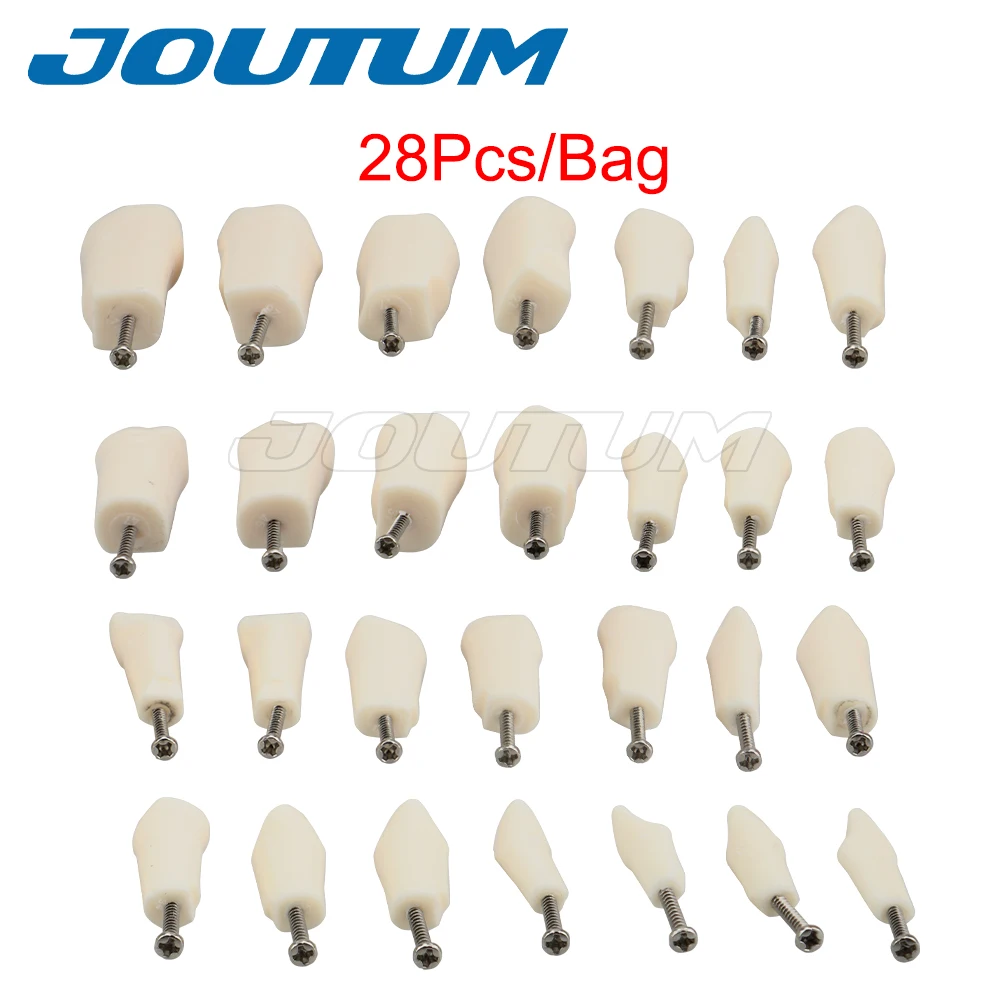 28PCS-Dental-Resin-Teeth-Typodont-Model-Plastic-Replacement-Teeth ...