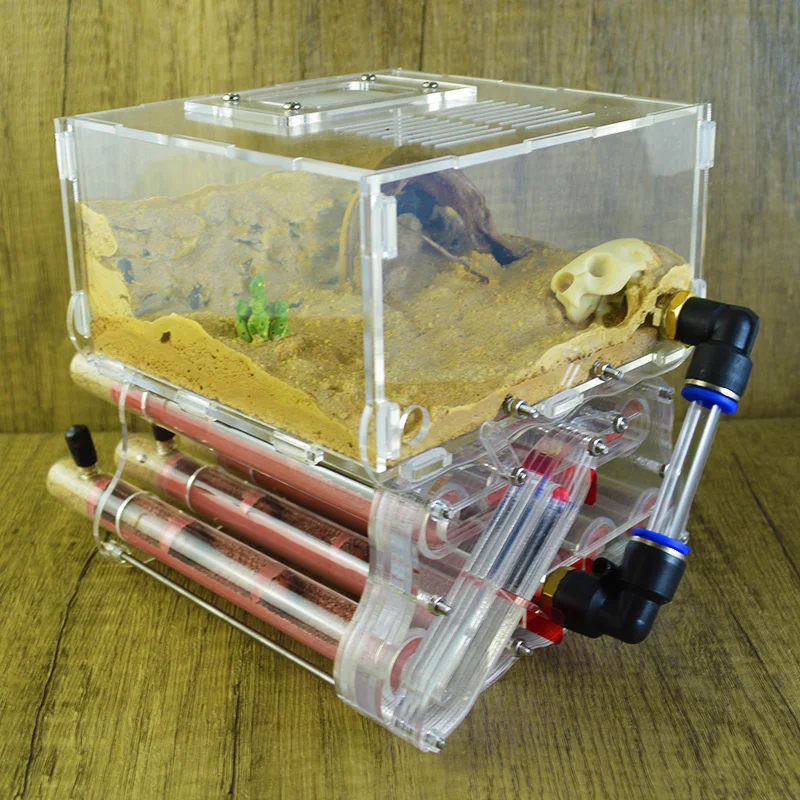 Shiwang-Ant-House-18mm-Layered-Acrylic-Bamboo-Joint-Test-Tube-Assembly ...