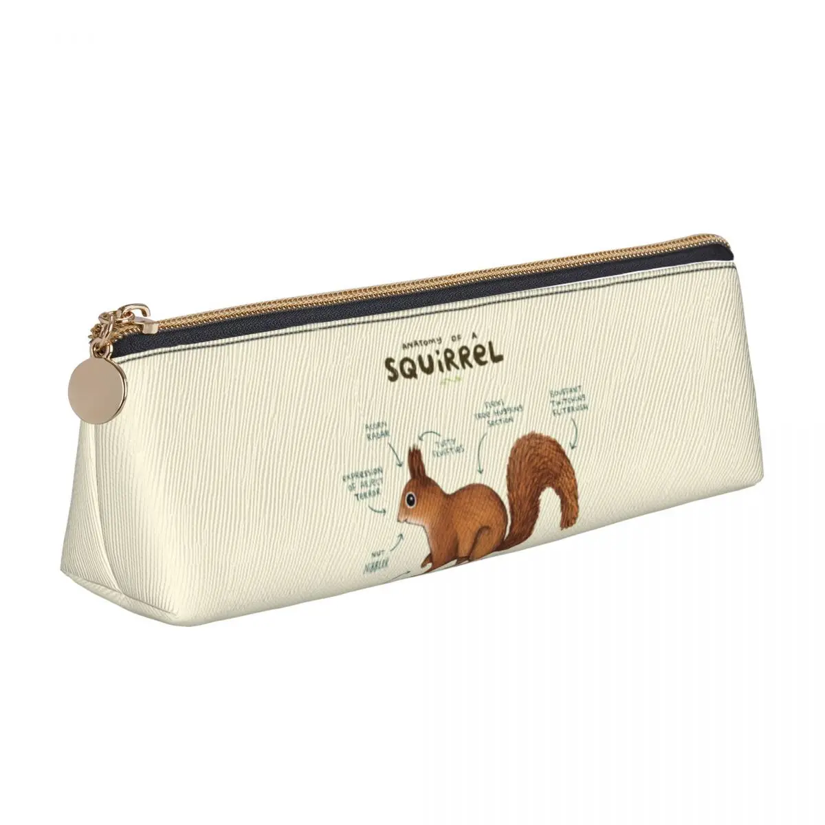 Anatomy-Of-A-Squirrel-Pencil-Case-Kawaii-Cute-Animal-Triangle-Pen-Box ...