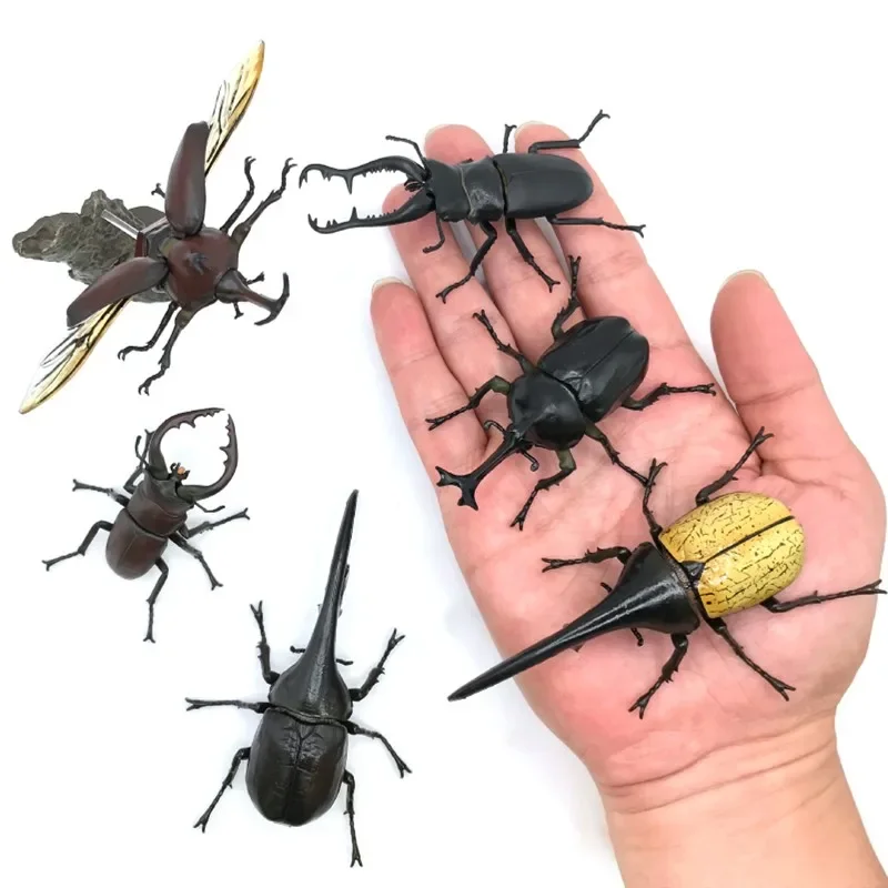 Japanese-Genuine-Gacha-Scale-Model-Simulation-Insect-Map-of-The-Mini ...