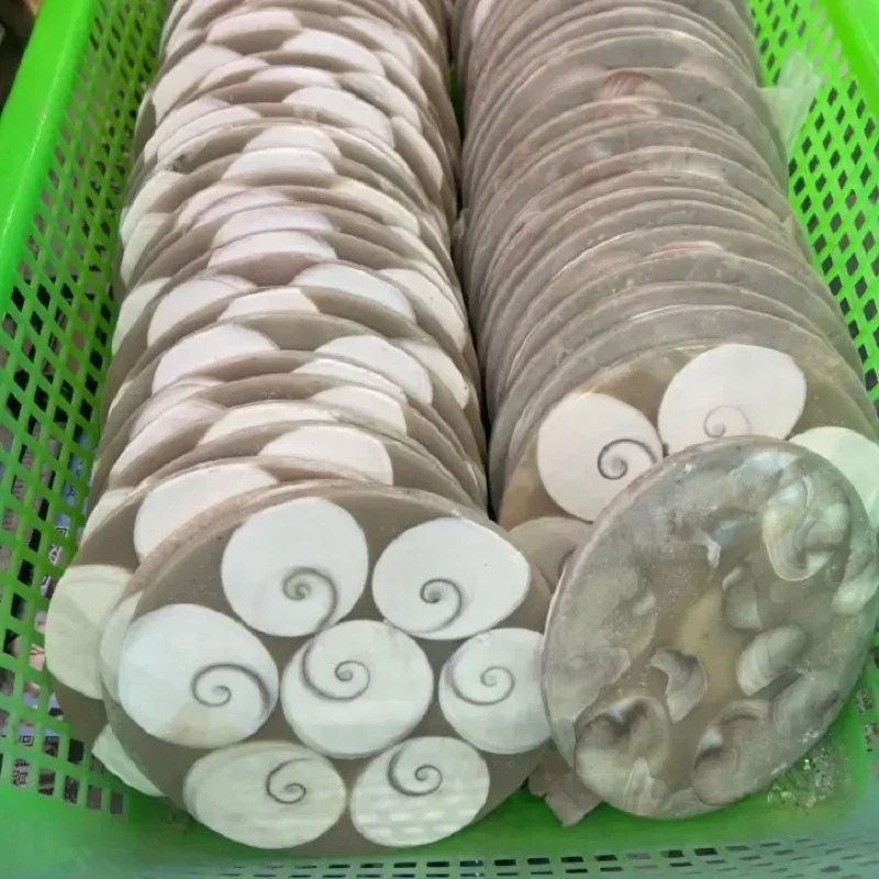 Natural-Ammonite-Slice-Plate-Ocean-Snail-Disc-White-Shell-Conch-Stone ...