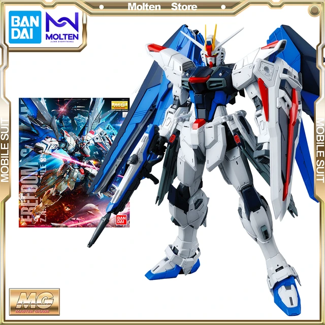 Strike Freedom Master Grade