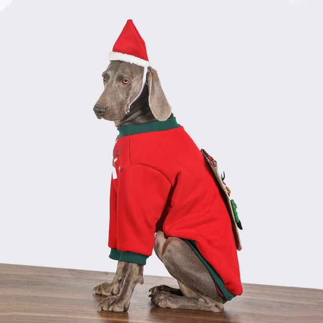 Weimaraner Costumes