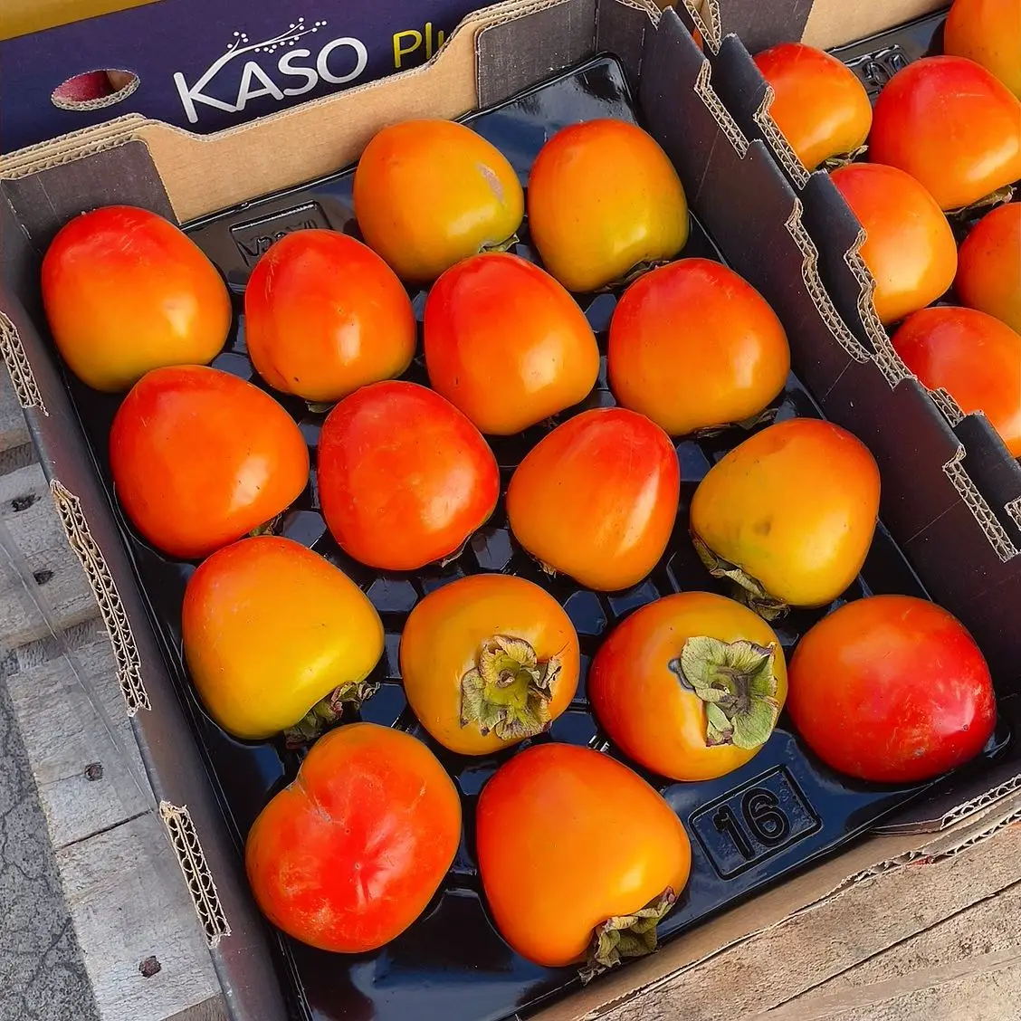 Soft-Persimmons-full-box-of-16.jpg