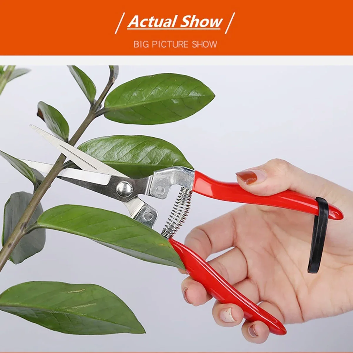 Straight-Pruning-Shears-Stainless-Steel-Blades-Micro-Tip-Florist ...