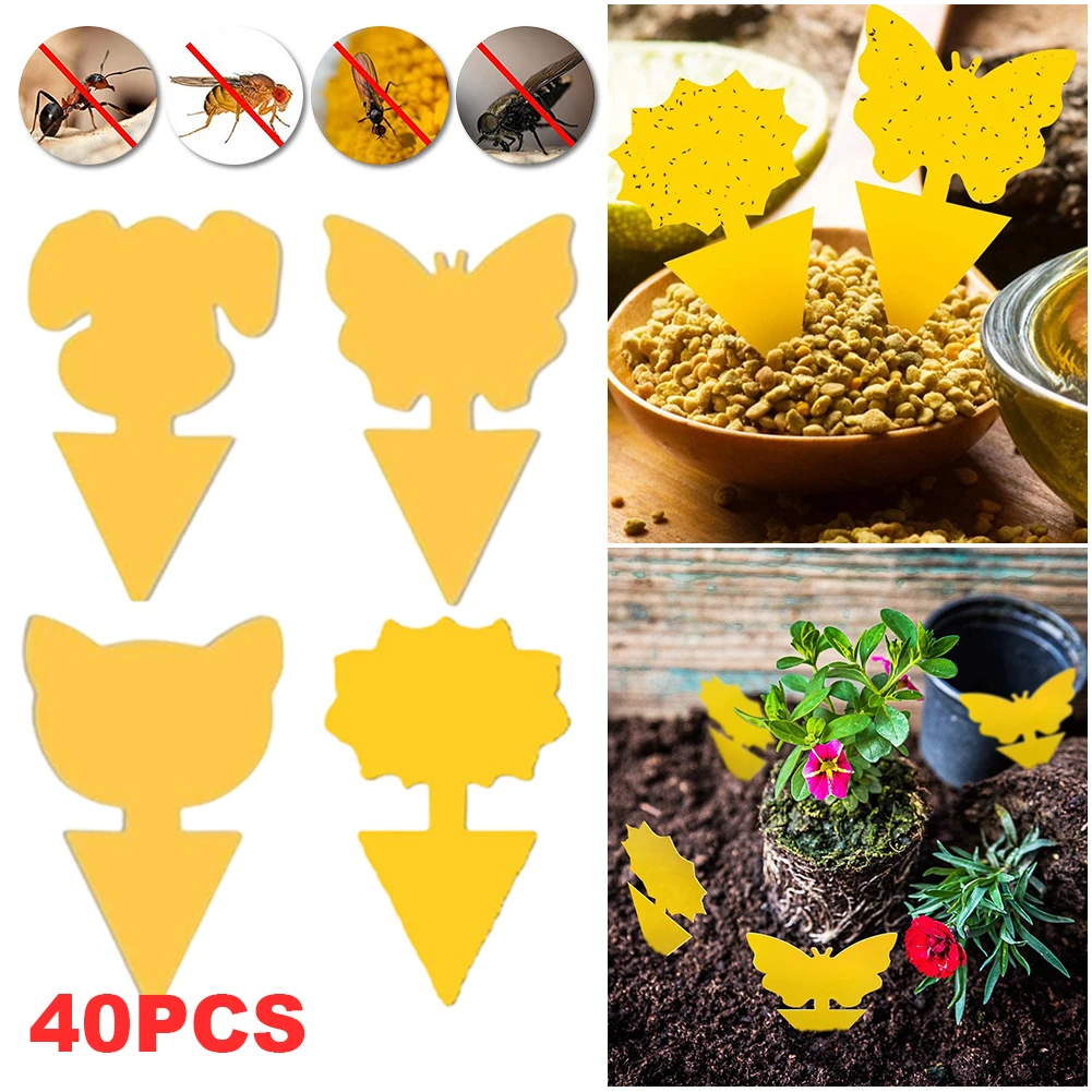 40Pcs-Sticky-Fly-Traps-for-Fruit-Fly-Mosquito-Flying-Insects-Non-Toxic ...