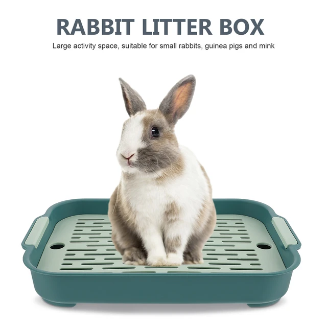 Supplies For Pet Rabbit Best Sale | centralcountiesservices.org