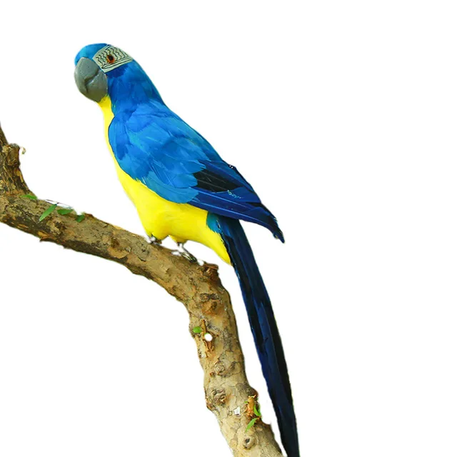 Dear Theo Household Store