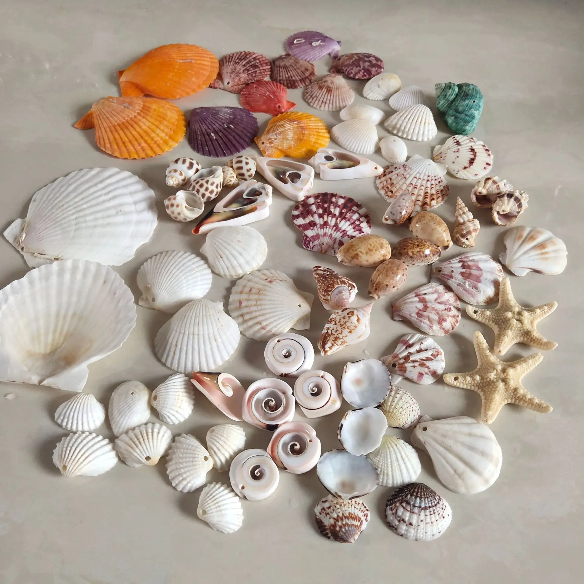 Natural-conch-shell-handmade-consumables-semi-finished-product ...