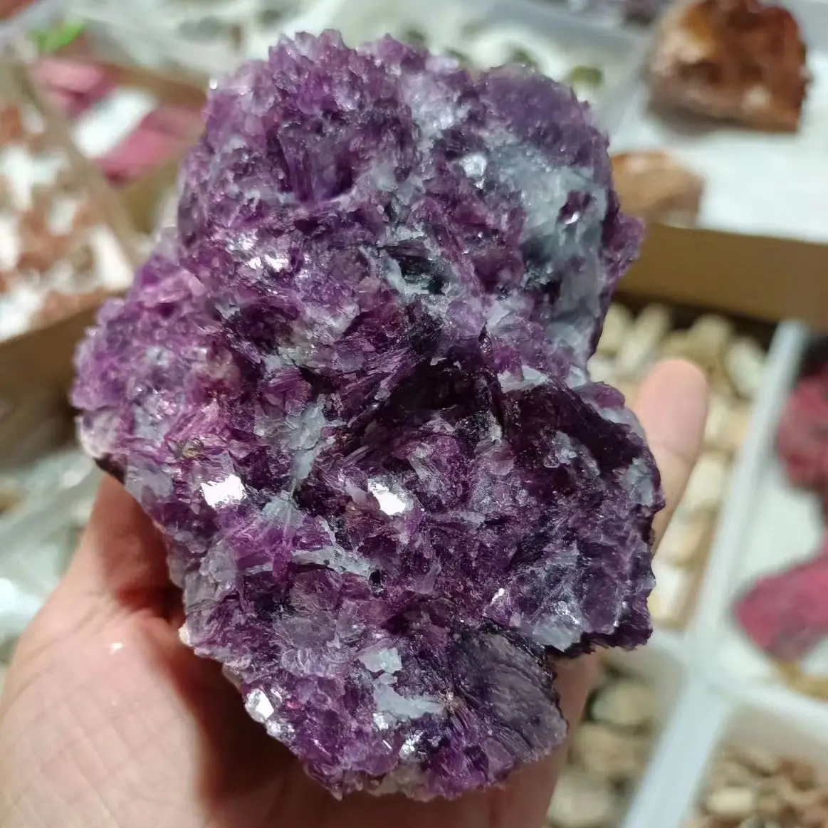 Natural Purple lepidolite Ore Quartz Crystal Rare Mineral Specimen ...