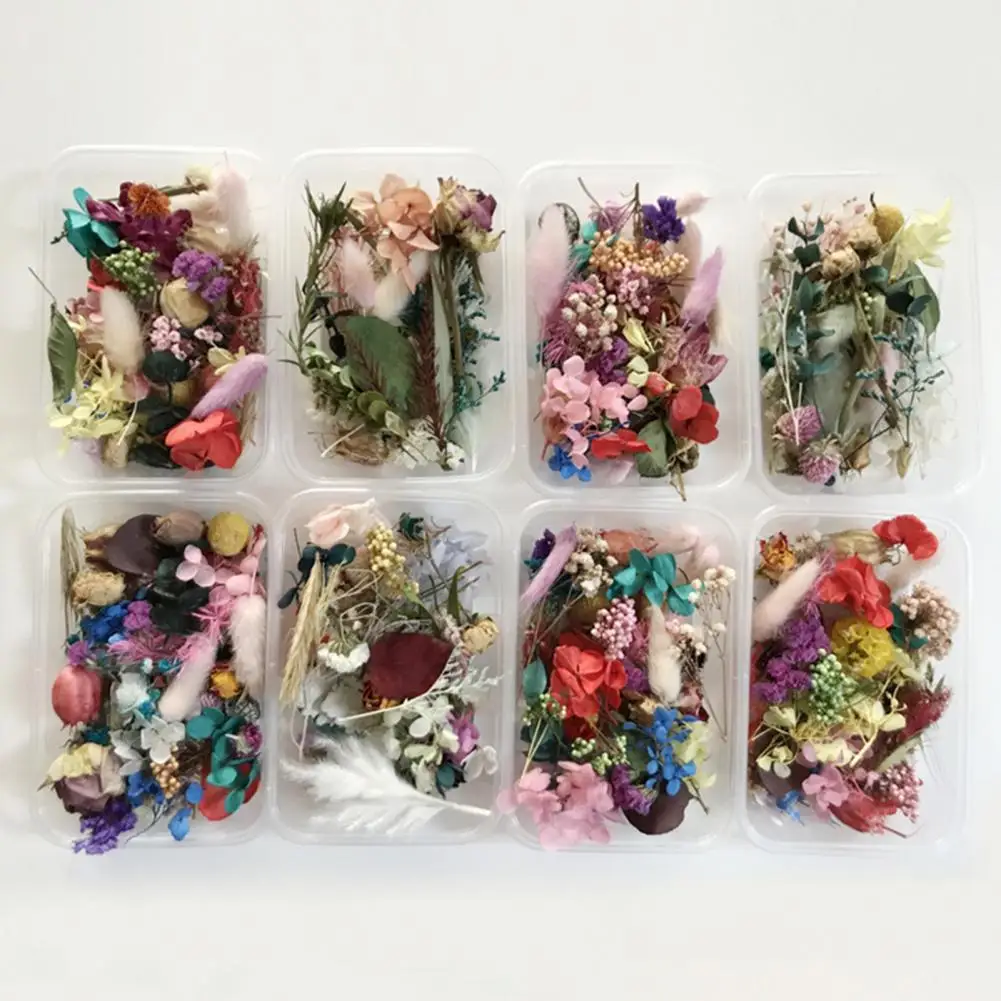 1box-Mix-Beautiful-Real-Dried-Flower-DIY-Material-Eternal-Dried-Flowers ...