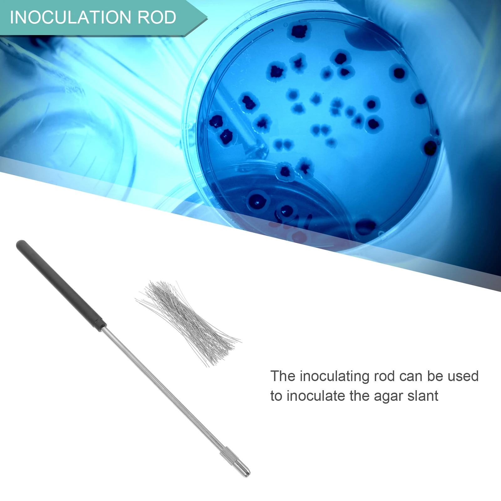 1 Set Stainless Inoculation Rods For Laboratory Tool Tools Microbiology ...