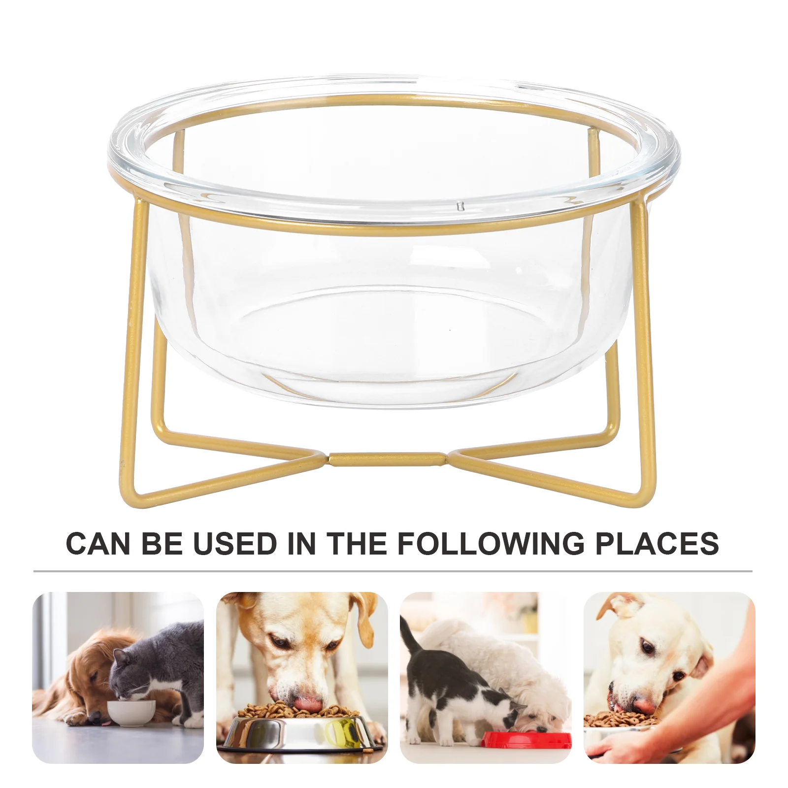 Glass-Pet-Bowl-Dog-Feeder-Cat-Bowls-High-Base-Food-Container-Supply-Oblique-Metal.jpg