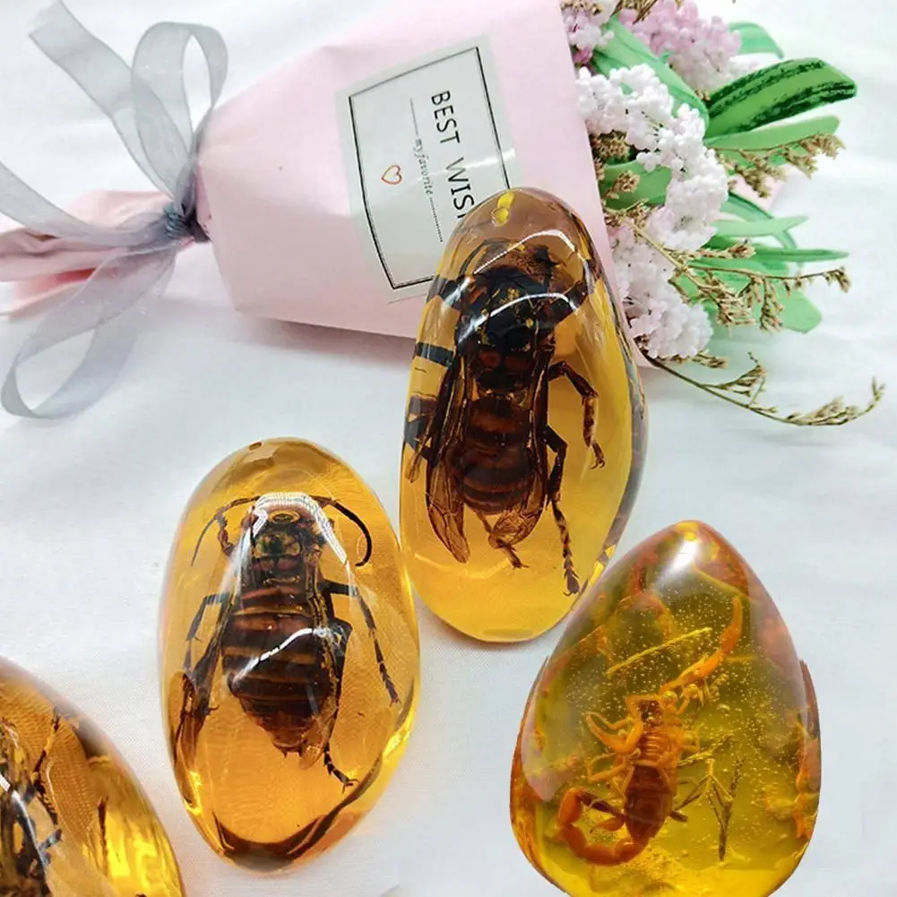 1pcs-Insects-Amber-Gemstone-Scorpion-Natural-And-Mineral-Stones-Home ...