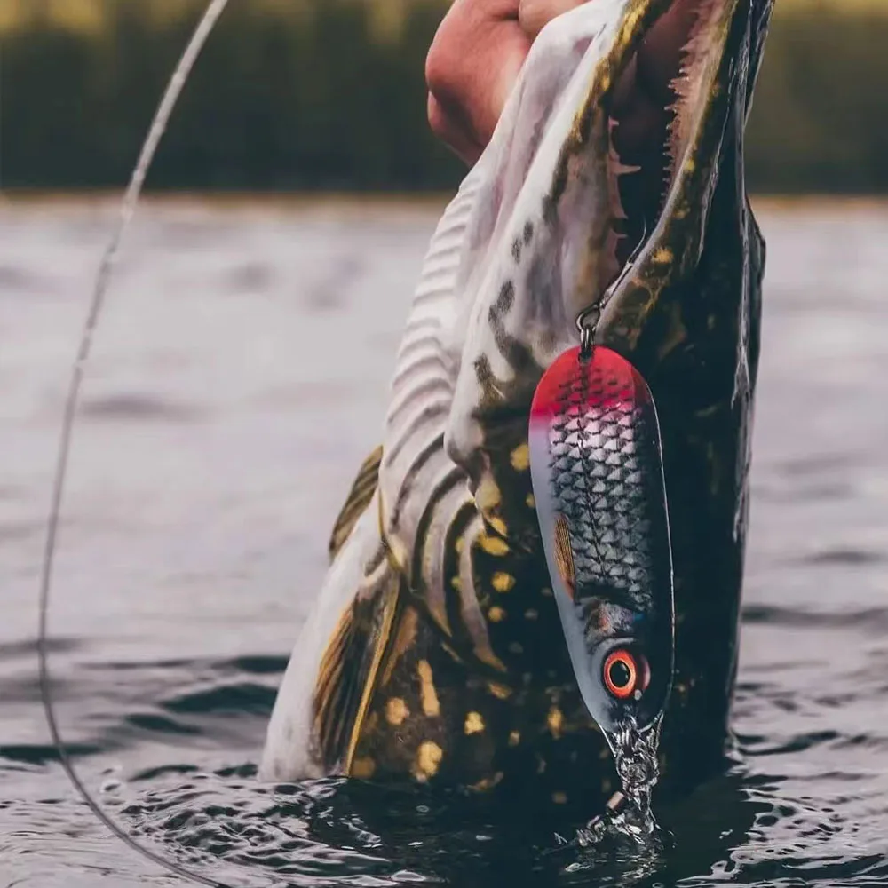 8.5cm 11g Saltwater Trolling Flasher Fishing Lures – Outdoor Gear & Equipment | The Mountain Exp