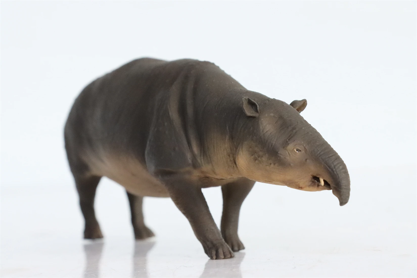 Moeritherium Toy Dinosaur | Meet The Moeritherium, A Distant Relative