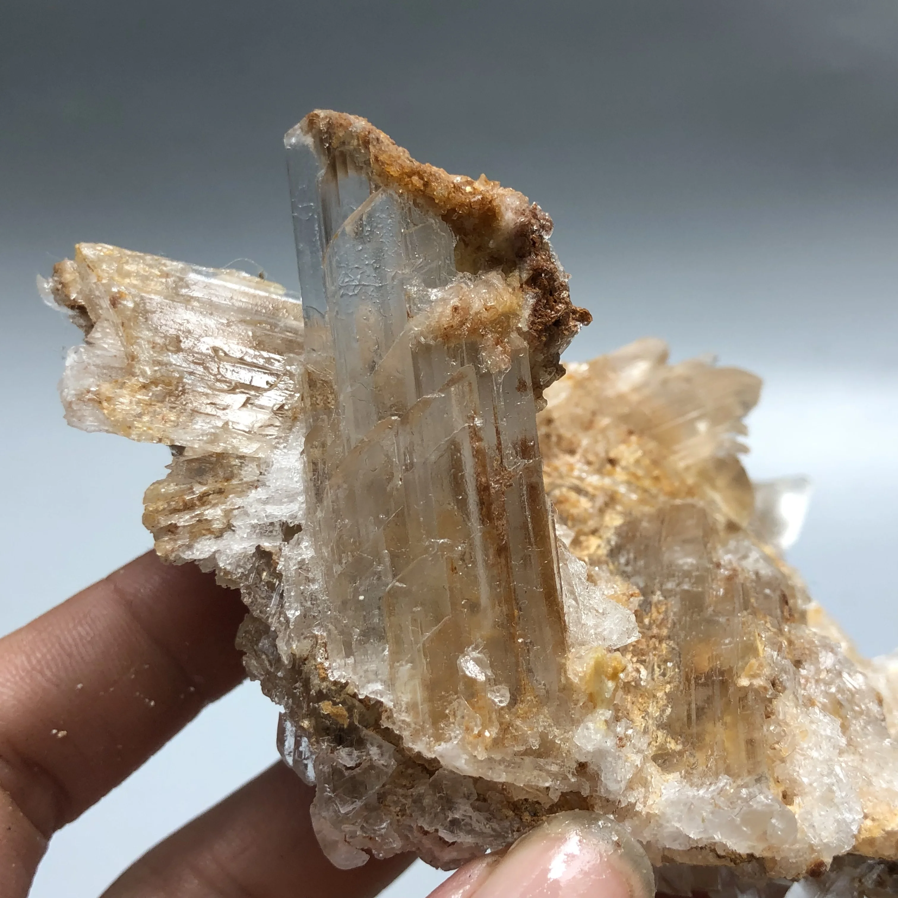 Gypsum Crystals