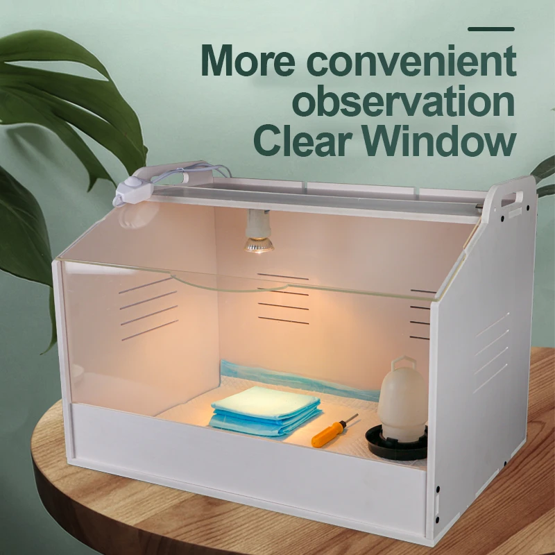 Brooding-Hatchery-Eggs-Incubator-Heating-incubator-Nestling-quail ...