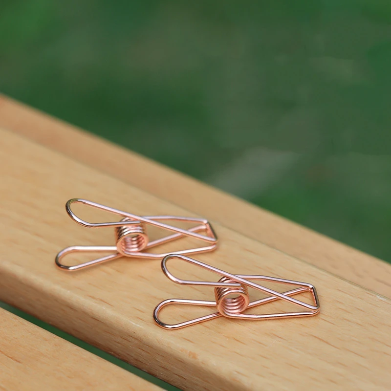 2-5-10-20pcs-Garment-Clips-Tent-Clips-Lamp-String-Fixing-Clamp-Hollow ...