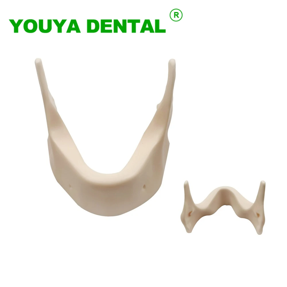 Dental-Implant-Model-Mandibular-Implant-Practice-Model-Dentist ...