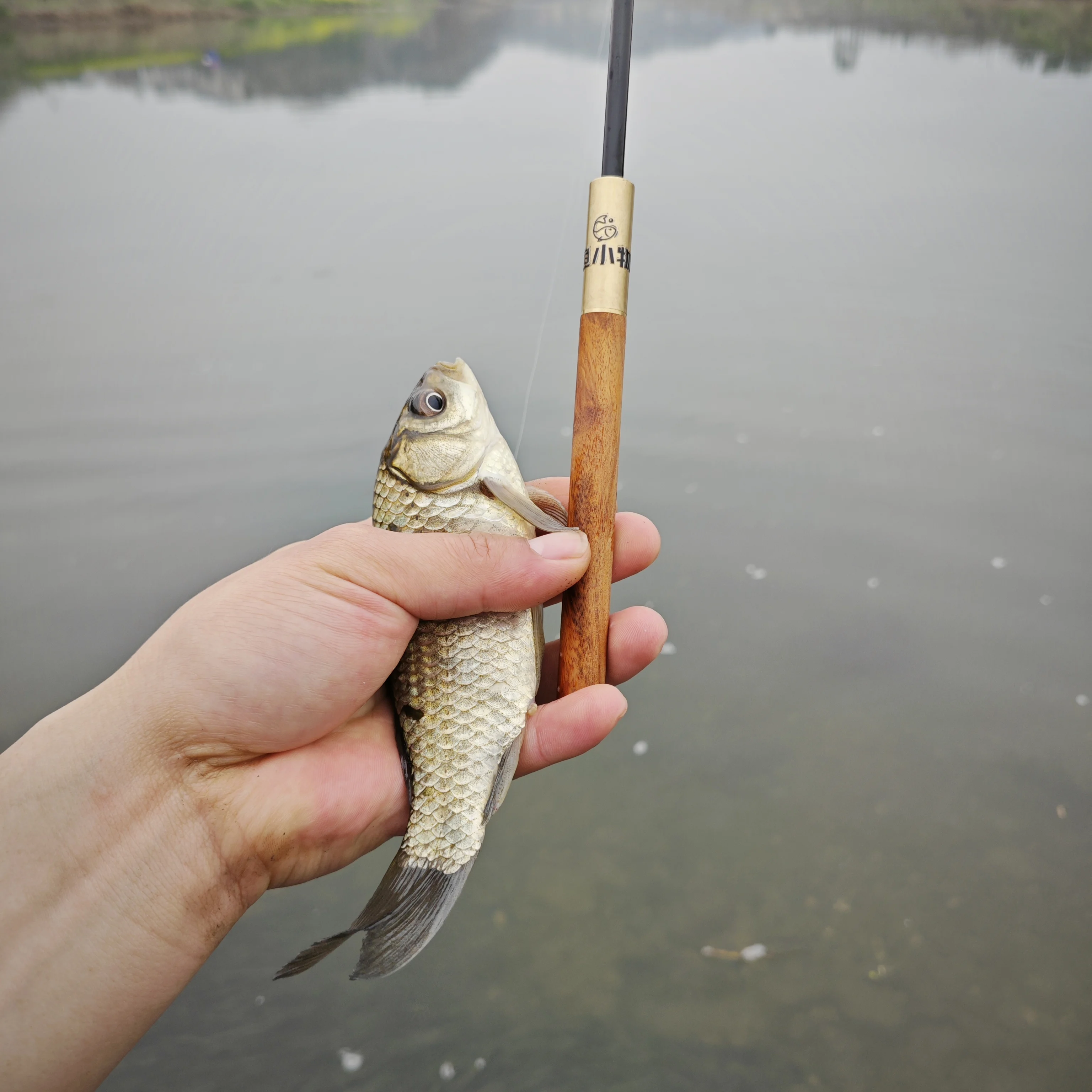 1-5-1-8-2-1M-ultra-small-fishing-rod-set-with-carbon-fiber-beginner ...