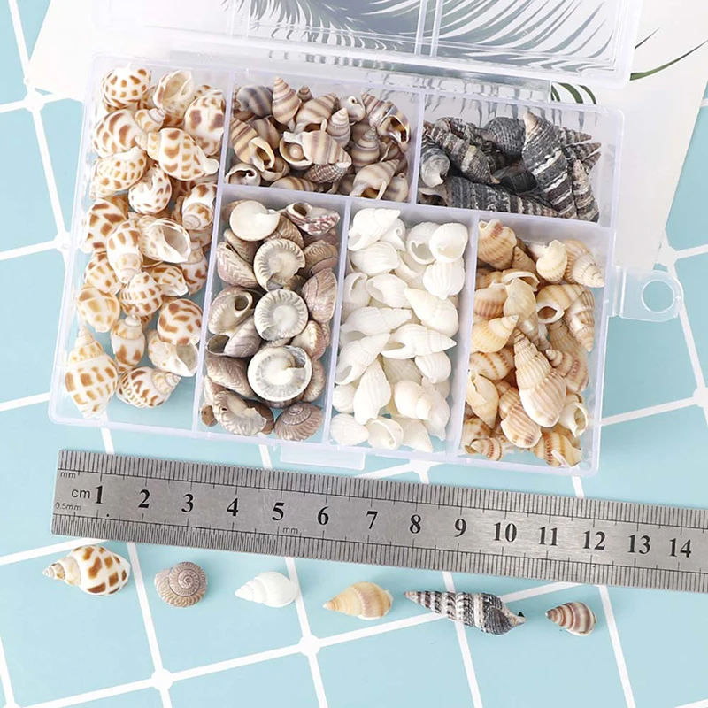 100Pcs-Box-Natural-Sea-Shells-Natural-Conch-Shells-Aquarium-Landscape ...