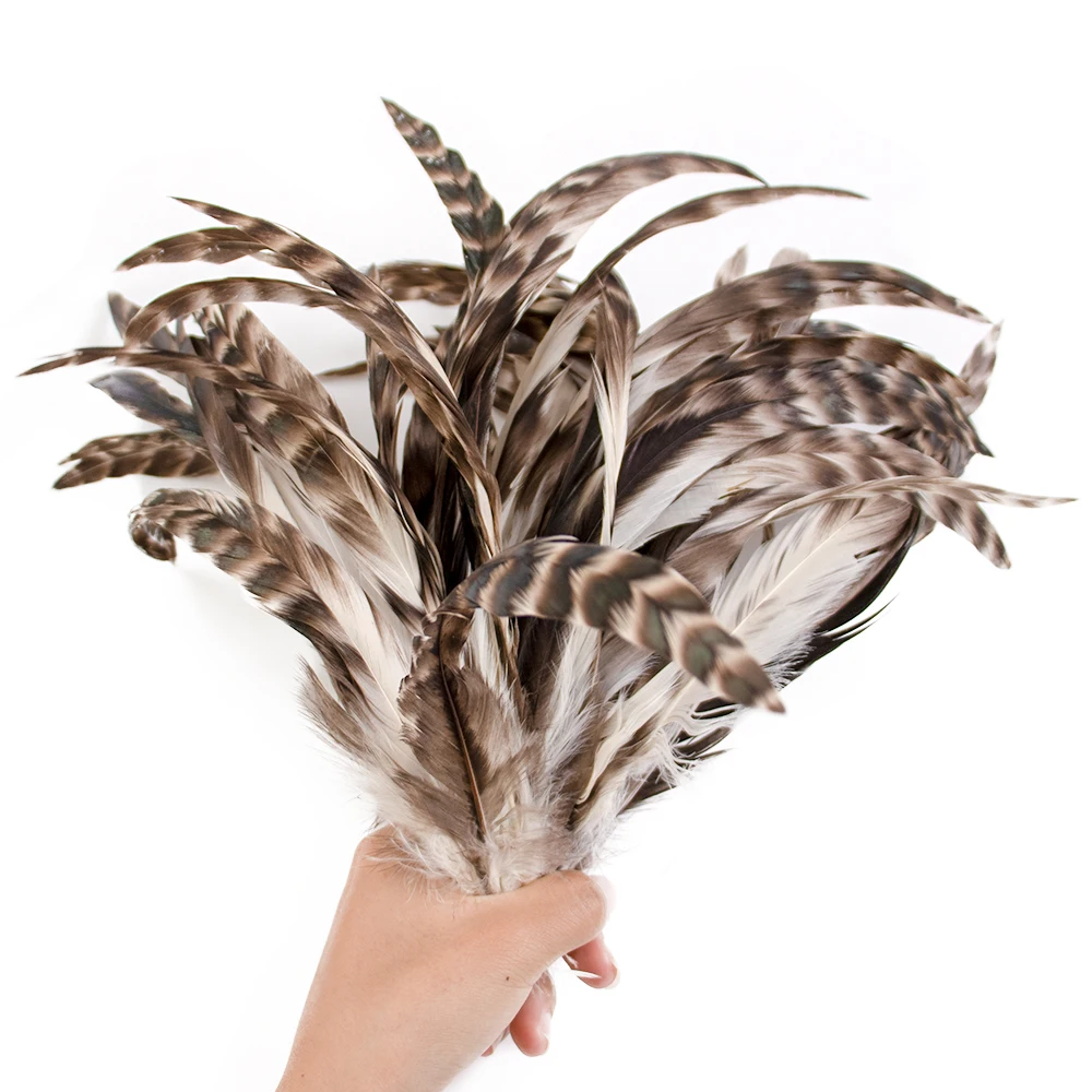 20PCS-Long-Chicken-Feather-15-35cm-For-Rooster-Cock-Tail-Plume-DIY ...