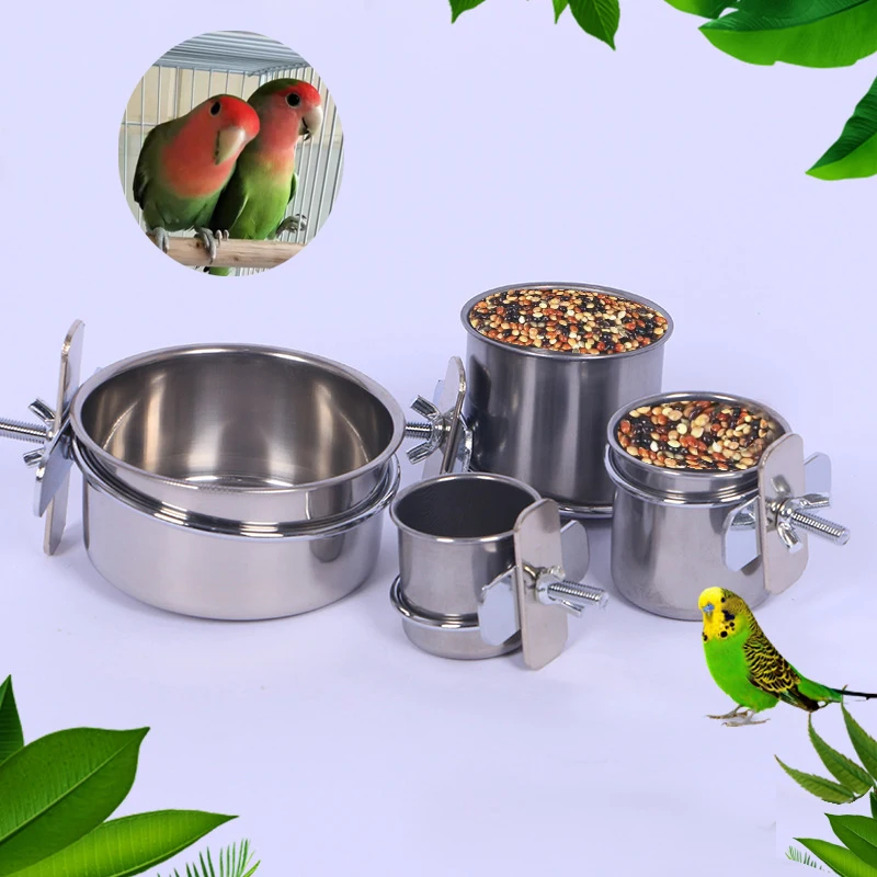 Bird feeder Bird accessories The stainless steel bowl with bird seed ...