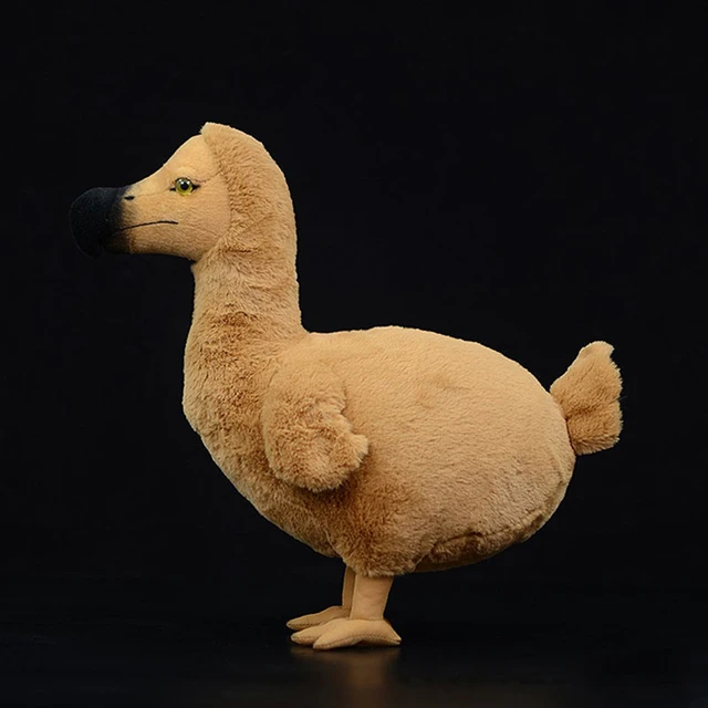 Baby Dodo Bird