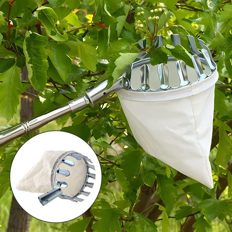 Metal-Fruit-Picker-Gardening-Apple-Plums-High-Tree-Picking-Tools ...
