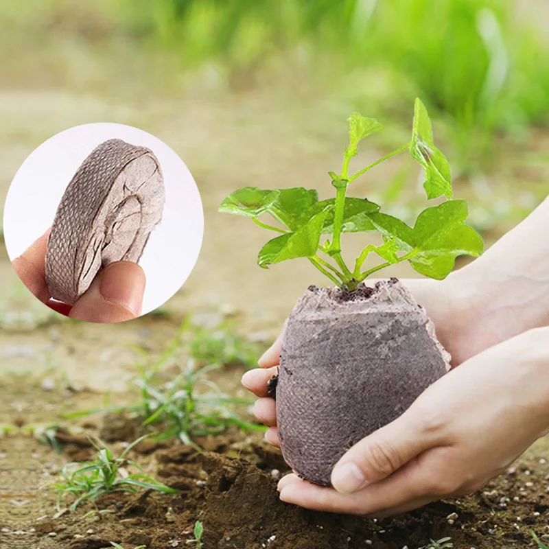 Seed Starter Soil Peat Pellet Nursery Block Peat Pellet For Garden ...