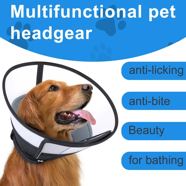 Animal Neck Biting