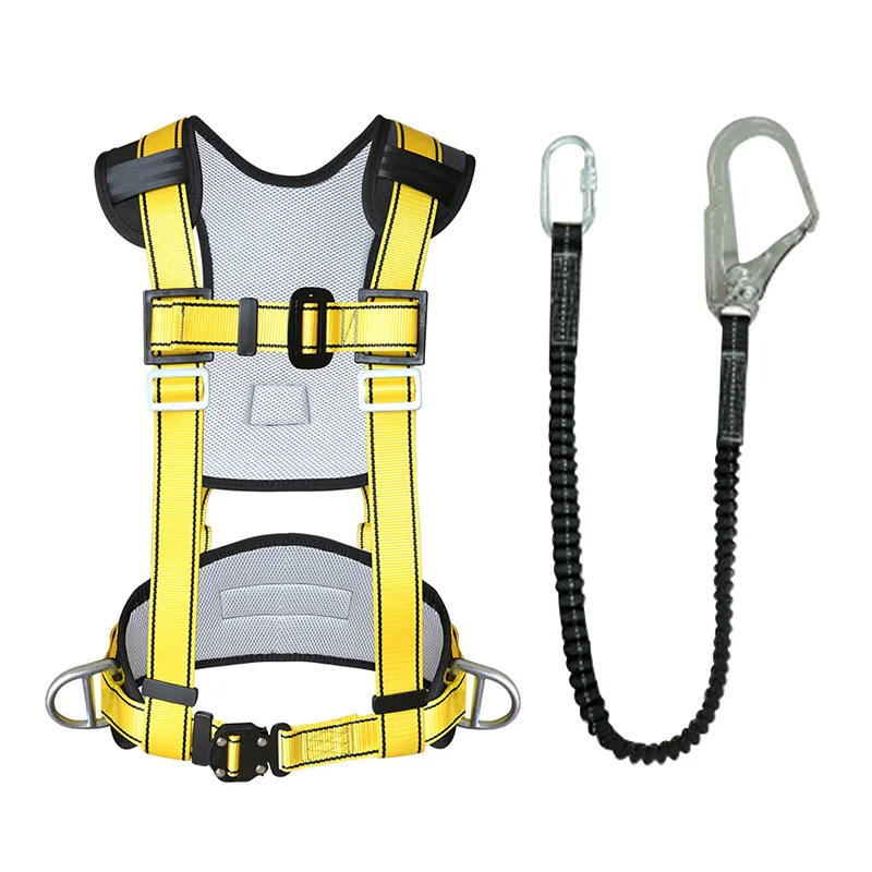 Safety Harness With Double Lanyard