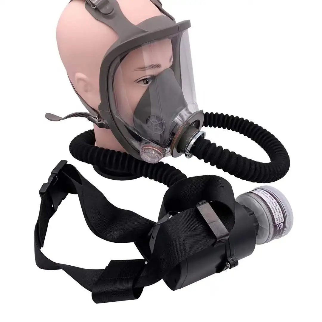 Electric-Constant-Air-Flow-Supplied-Fed-Full-Face-Gas-Mask-Respirator ...
