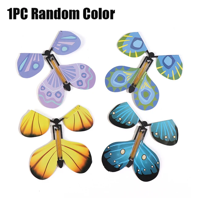 Store Home Products Outdoor Fun Feedback