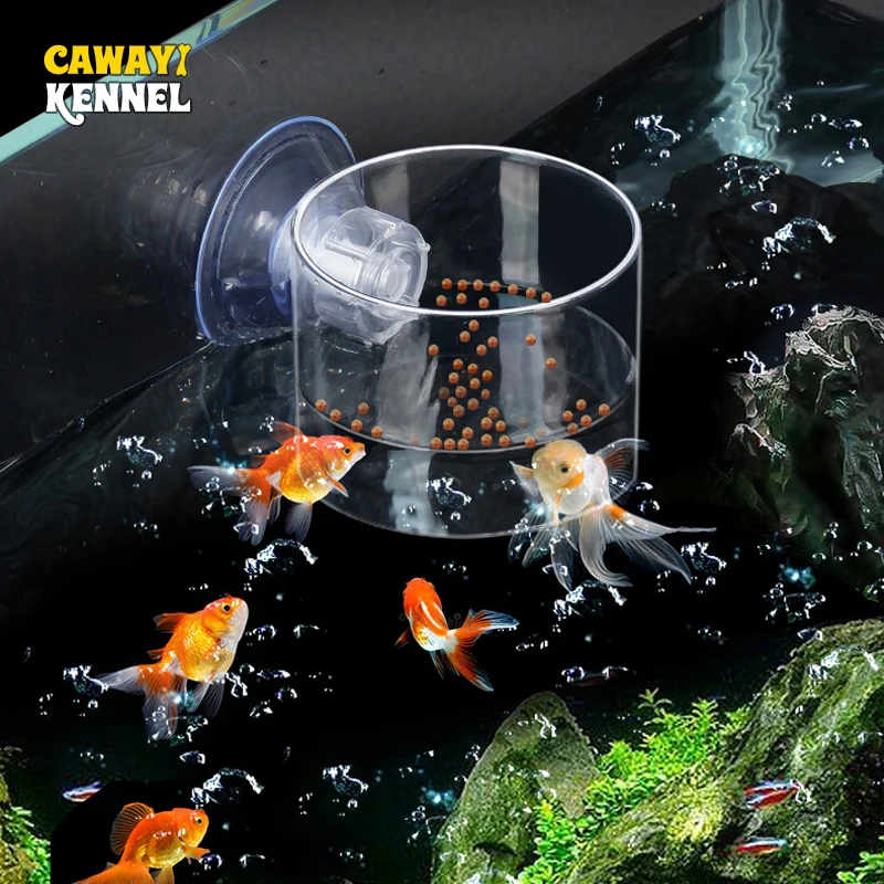 Acrylic-Shrimp-Feeder-Food-Dish-Aquarium-Fish-Tank-Feeding-Cup-Fish ...